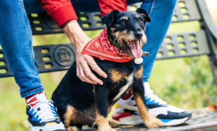 Natsu, le chien de Squeezie, est devenu une star